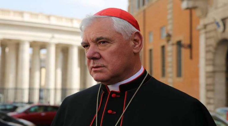Full text of Cardinal Mueller's analysis on the working document of the ...