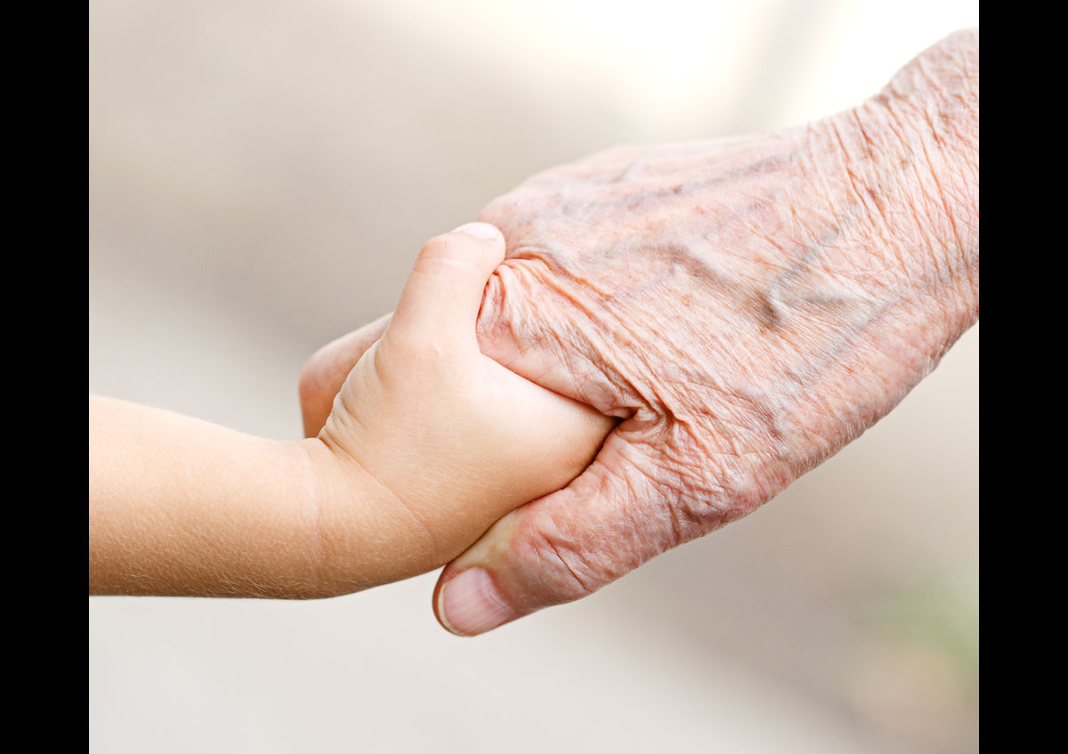 Respect life in every moment