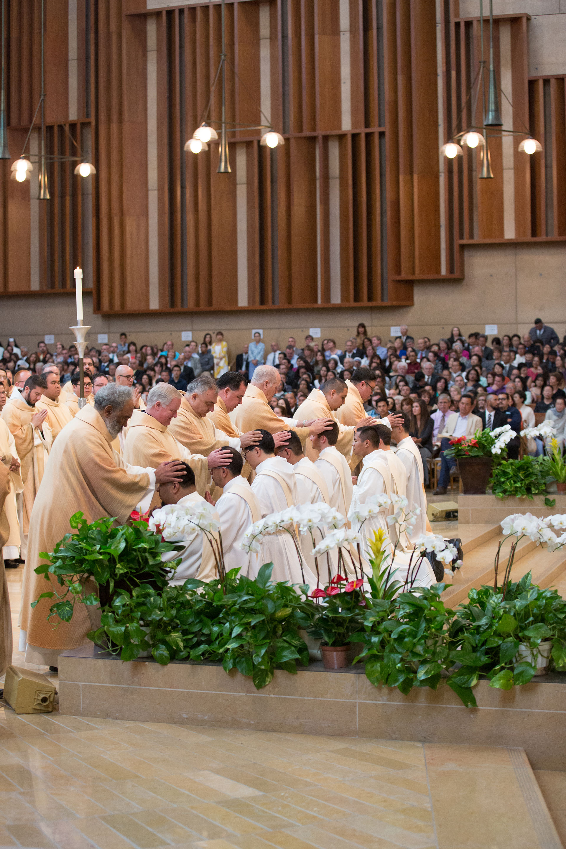 The Christian is one who has a vocation