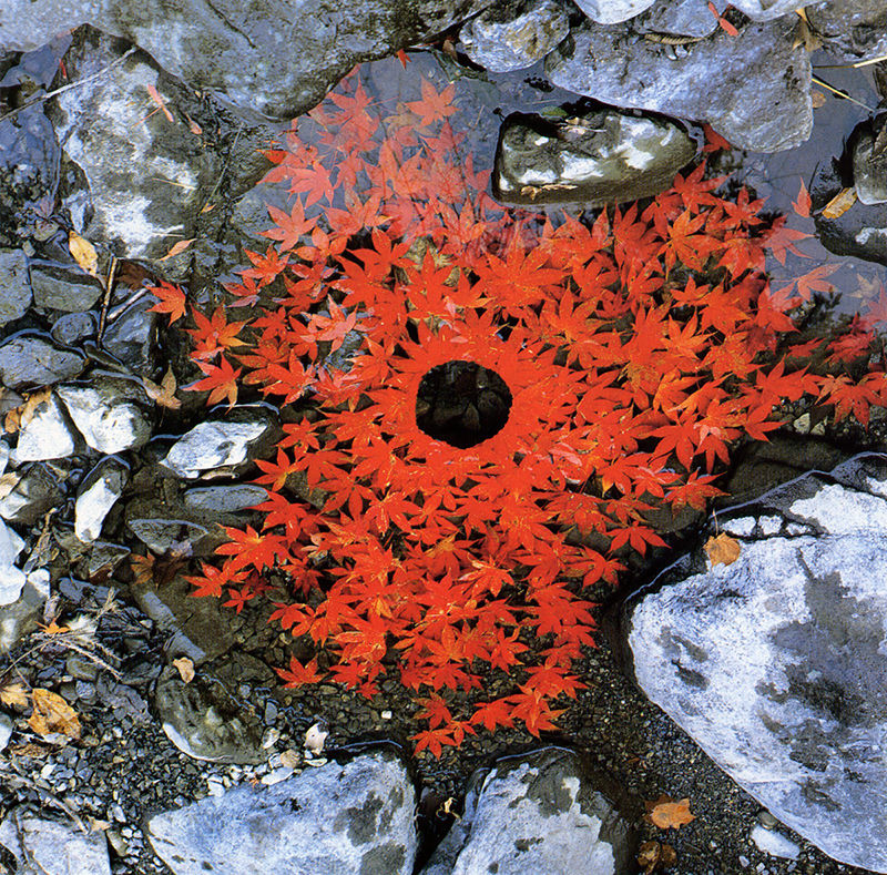 Activity 5 Andy Goldsworthy Art Nature