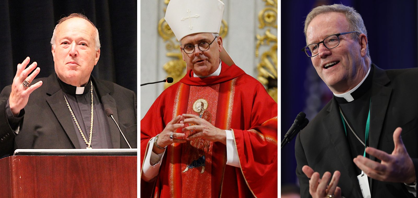 Pandemic's turmoil an opening to boost protection of creation, bishops say