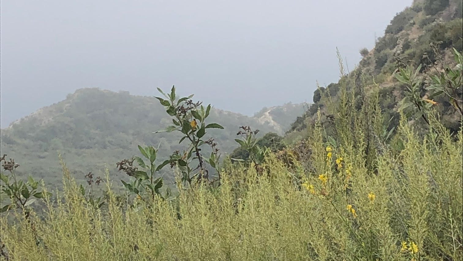 Finding a natural adrenaline in the wild