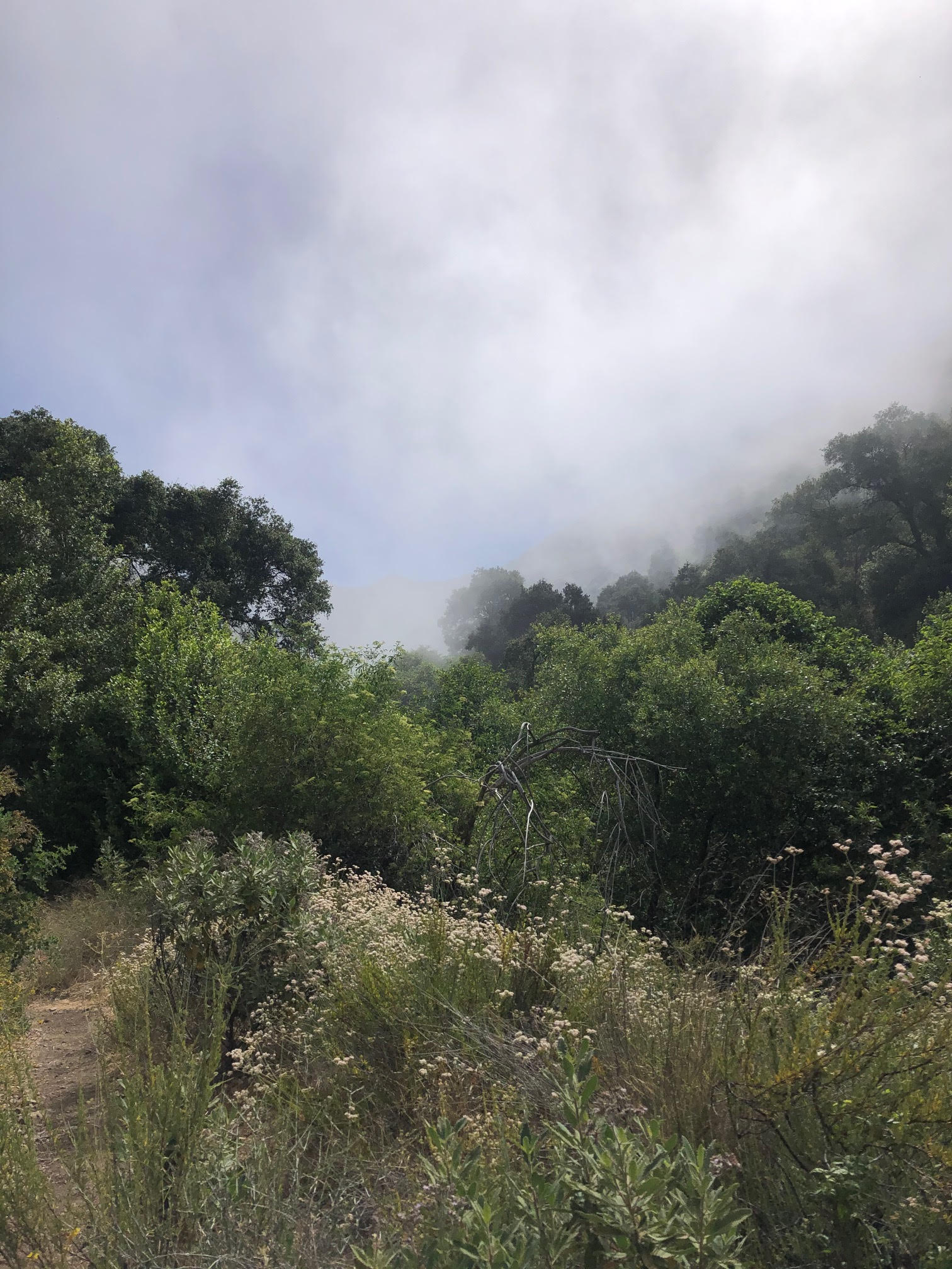 Finding a natural adrenaline in the wild