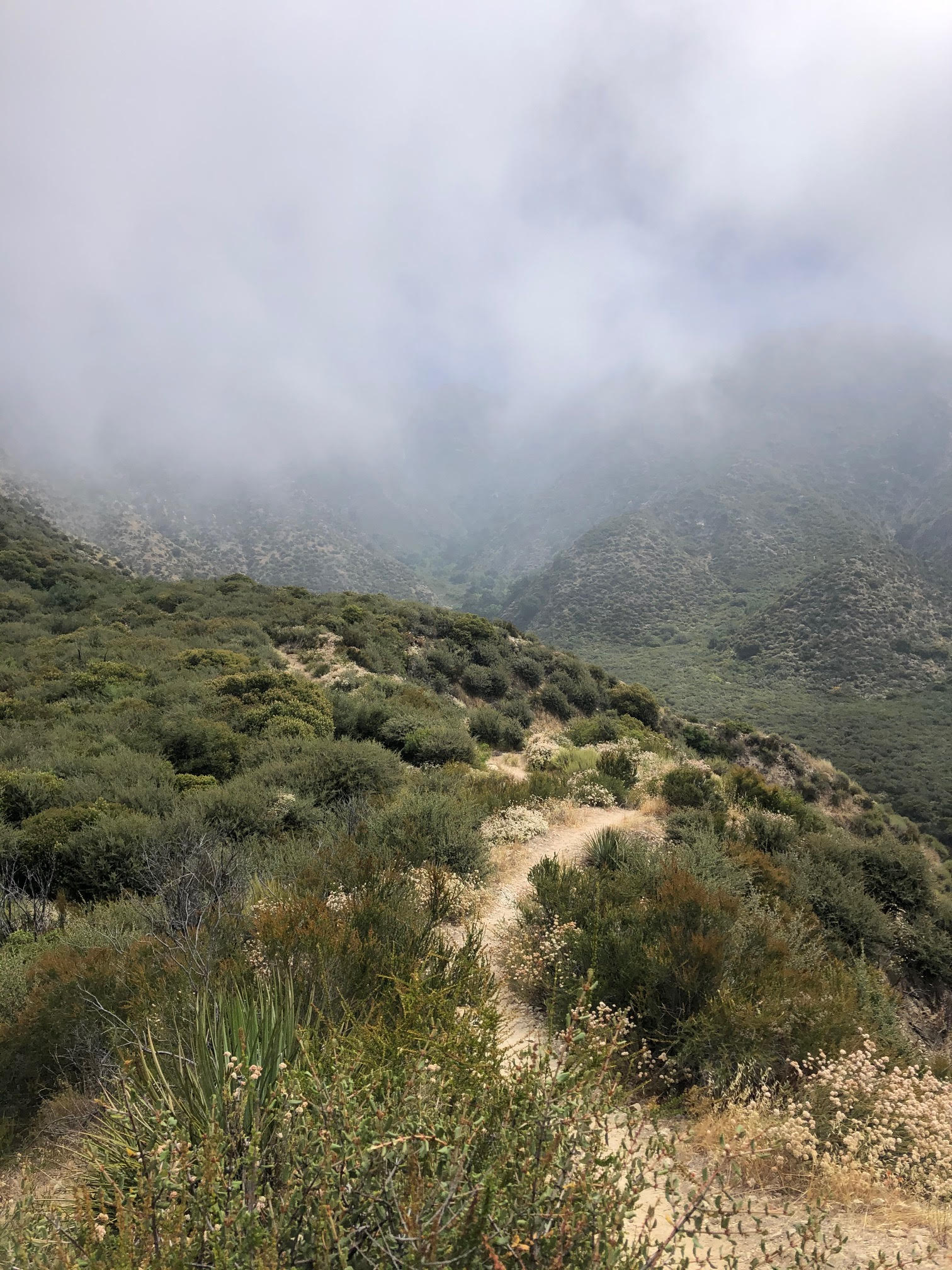 Finding a natural adrenaline in the wild