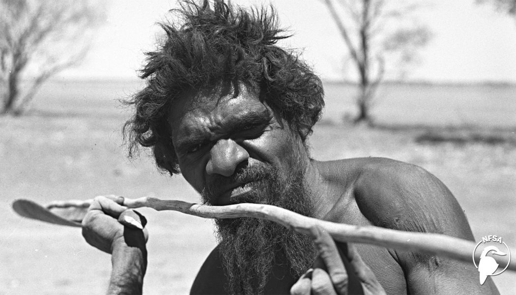 The tsetse flies that separate us from Christ