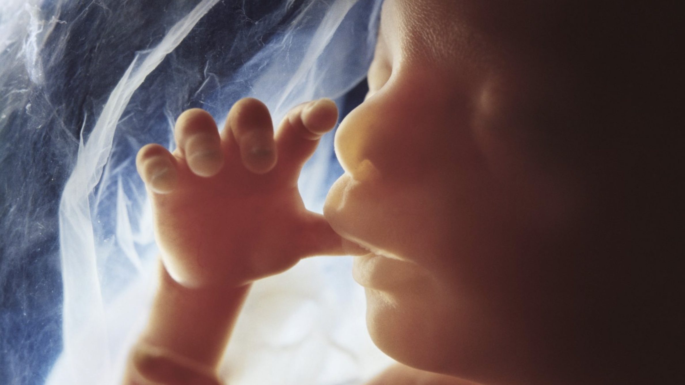 A pro-choice convert’s handbook