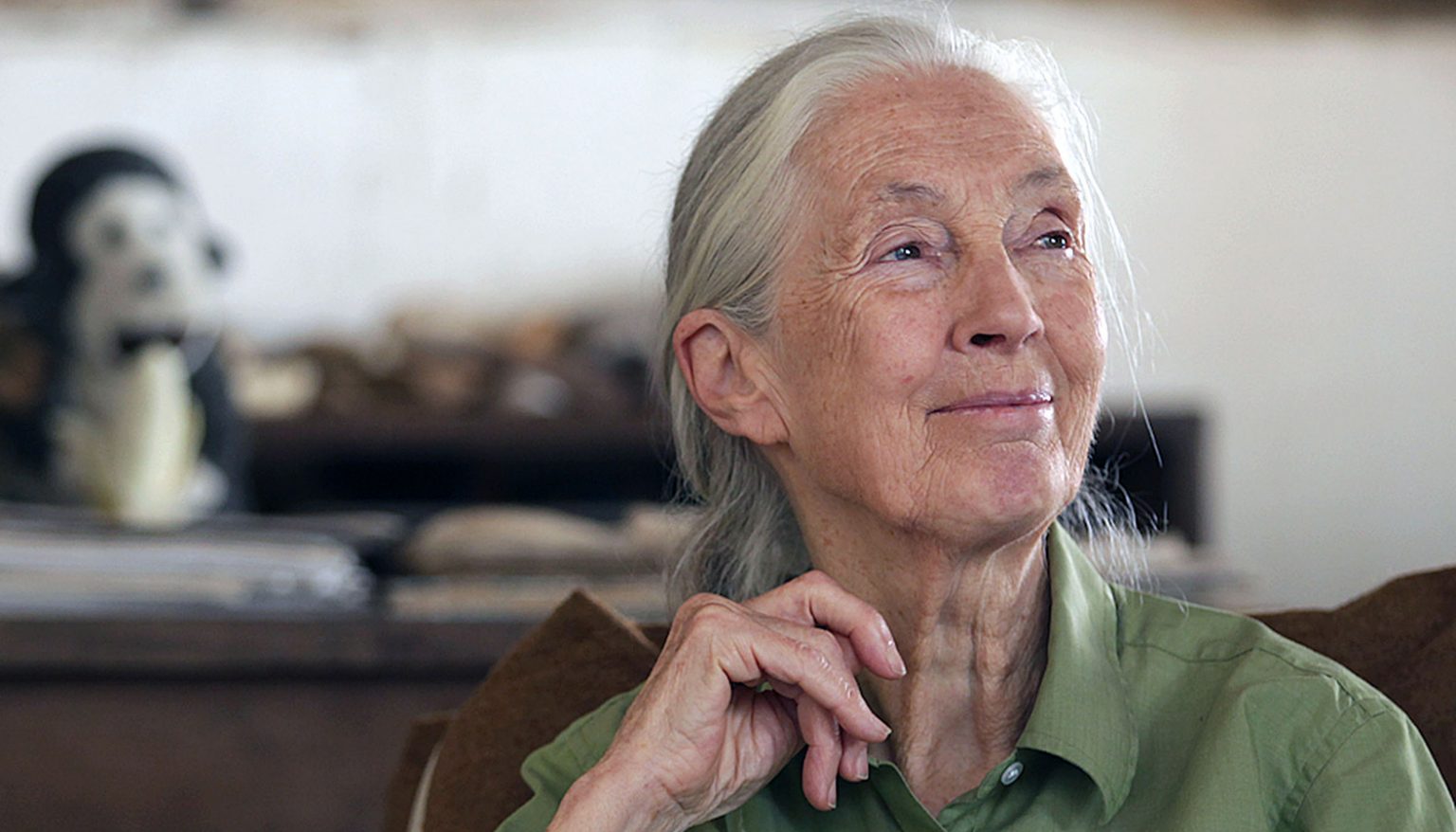 LA exhibit captures feminine genius of Jane Goodall