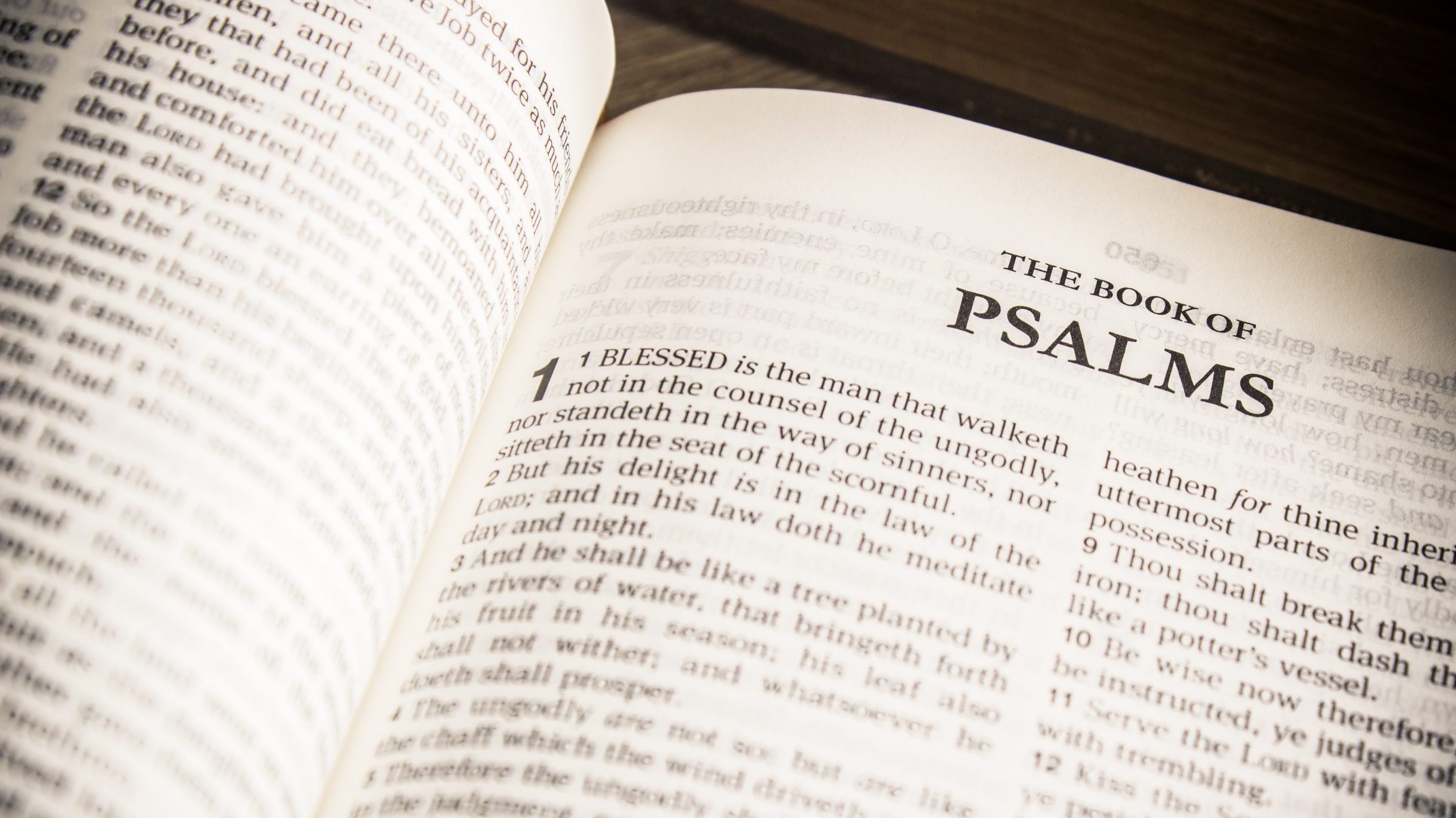 The Psalms The Church s Song Book