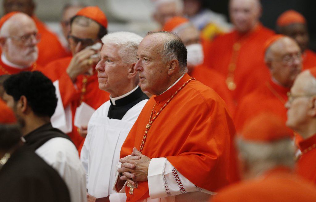 New cardinals feel honored, humbled, ready to promote renewal of church