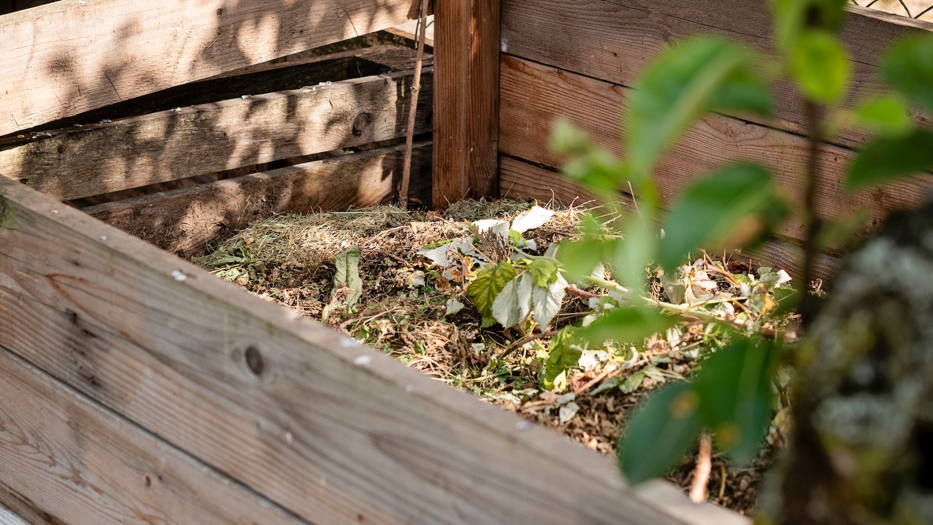 ‘To dust you shall return,’ but human composting? California bishops ...