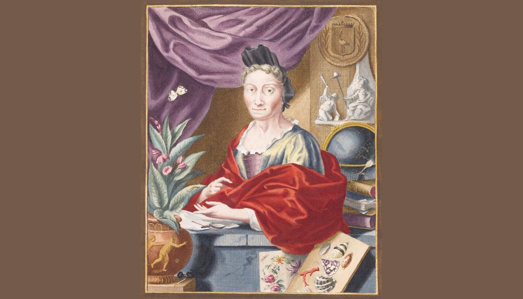 Bridging the gap between artist and scientist