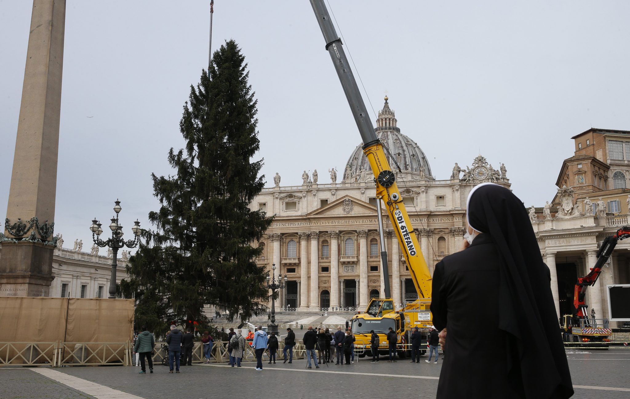Forest rangers, local towns stop planned cut of Christmas tree for Vatican