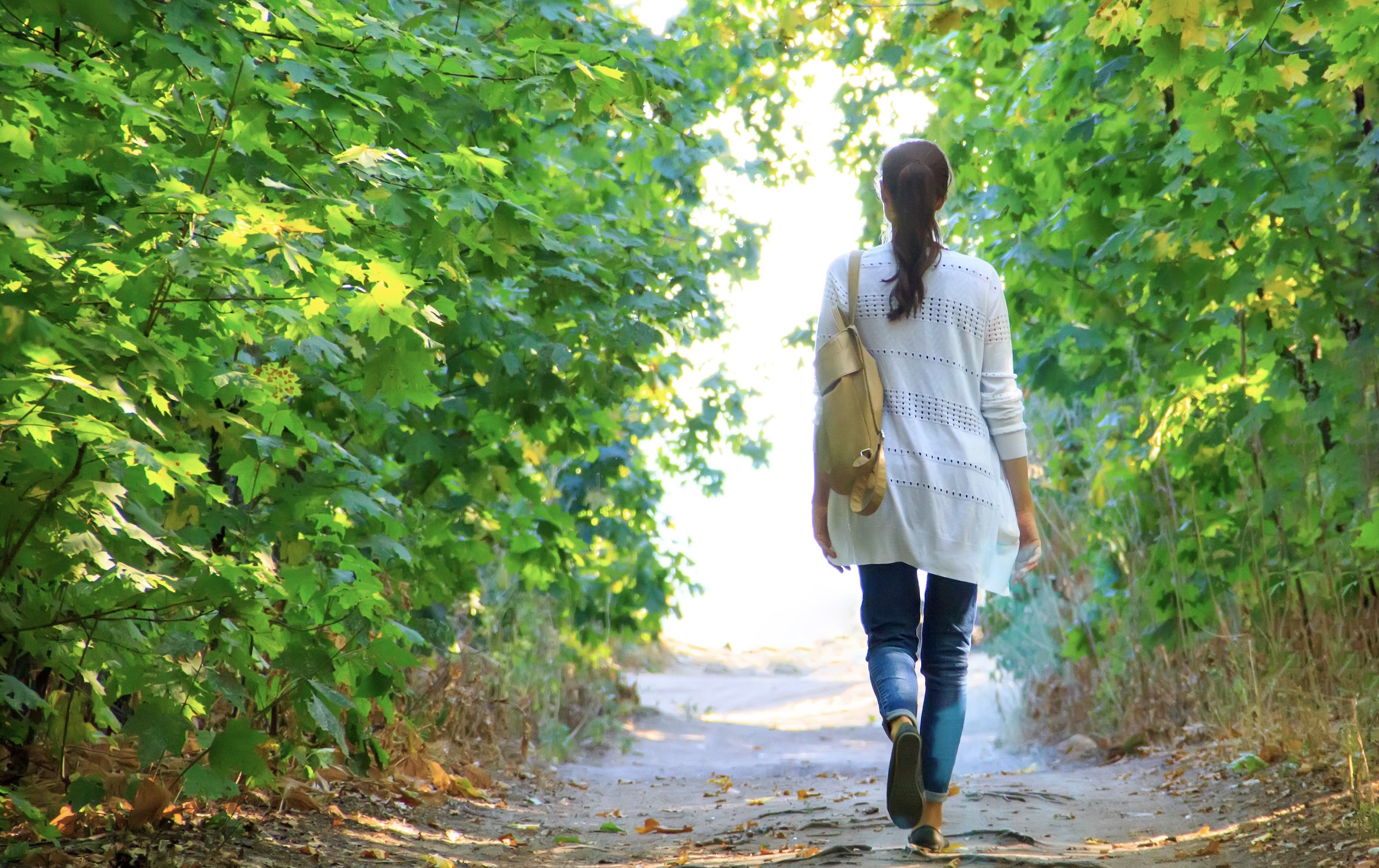 Looking for the meaning of life? Take a walk