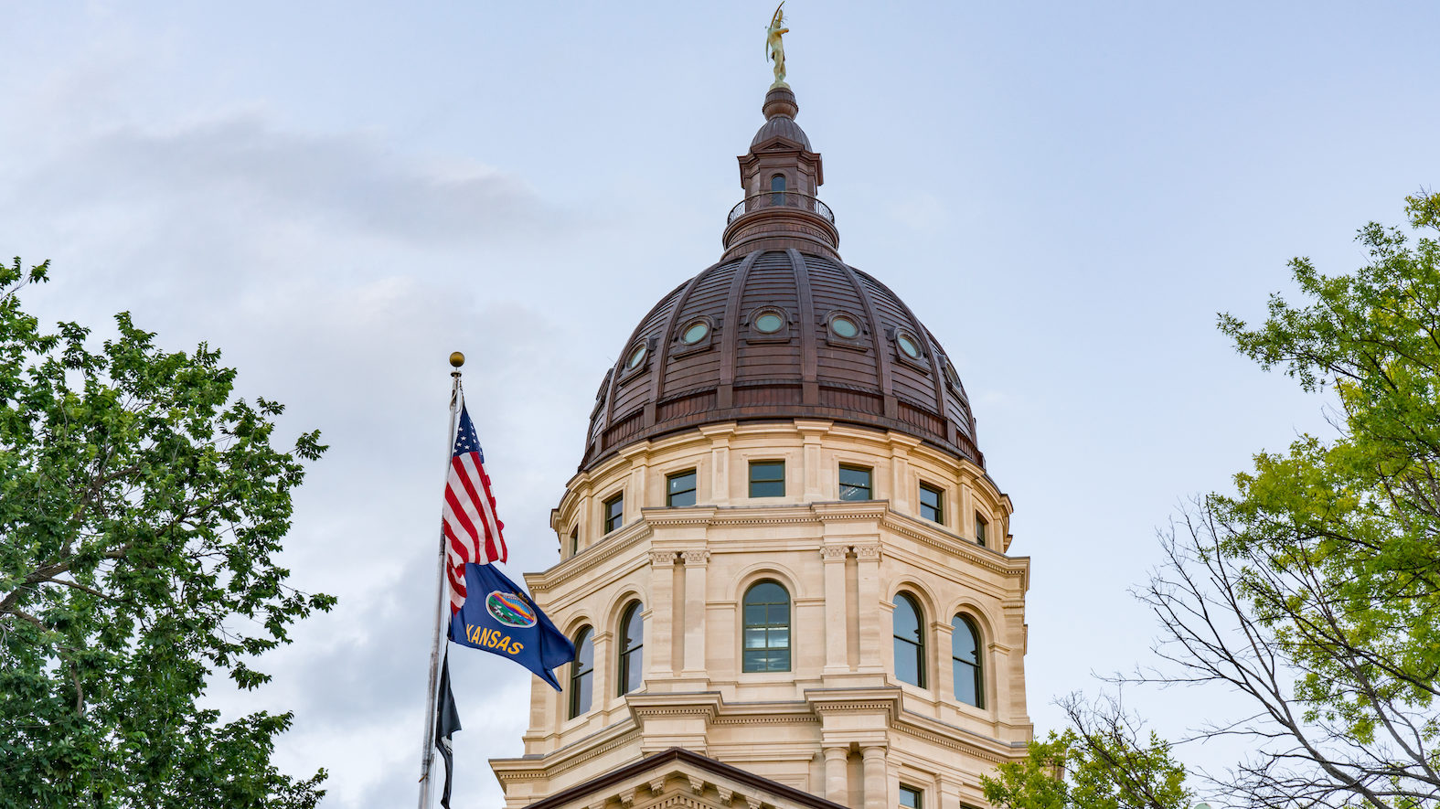 Kansas enacts 'born-alive' bill, overriding governor's veto
