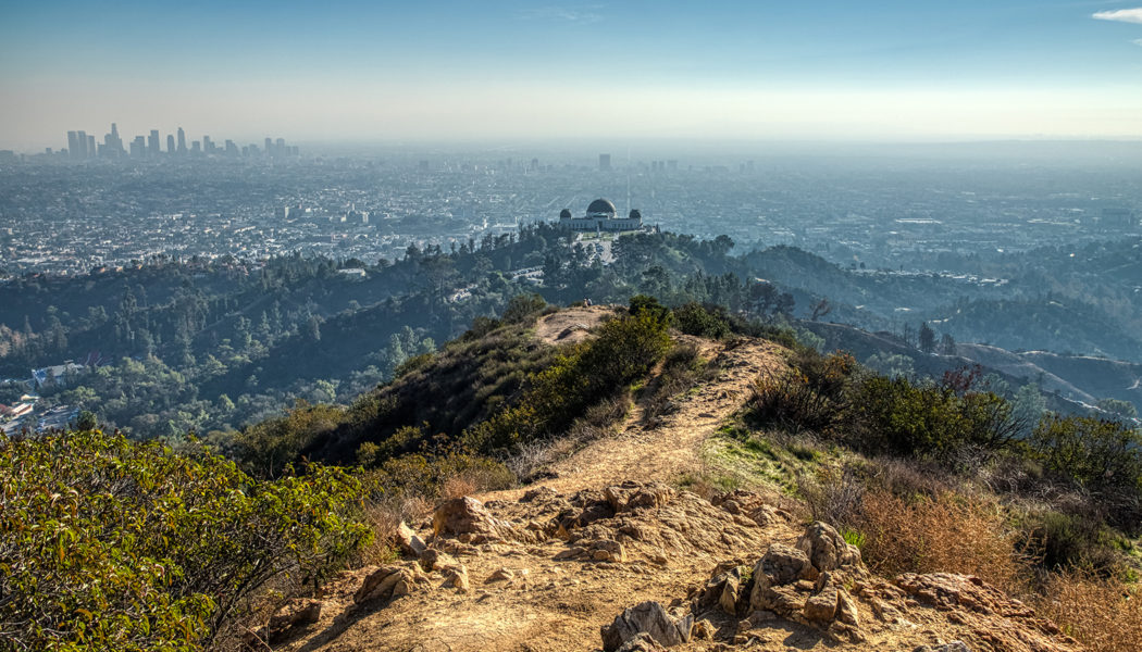 Heather King: Celebrating Griffith Park, where you can bask in the ...