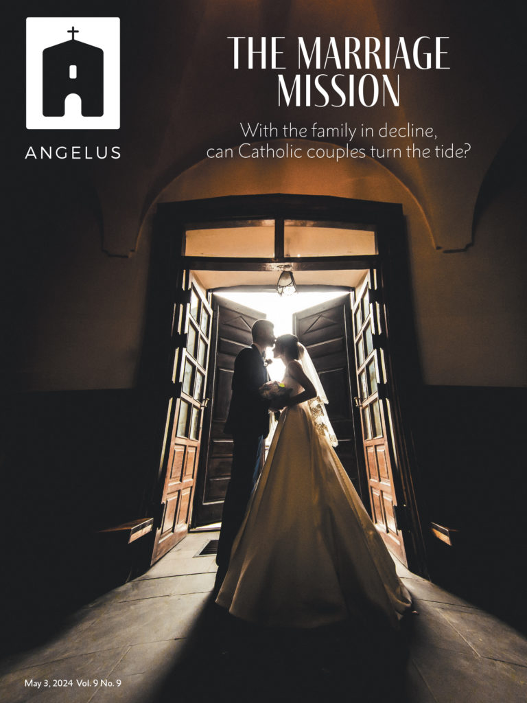 The marriage mission: With the family in decline, can Catholic couples ...
