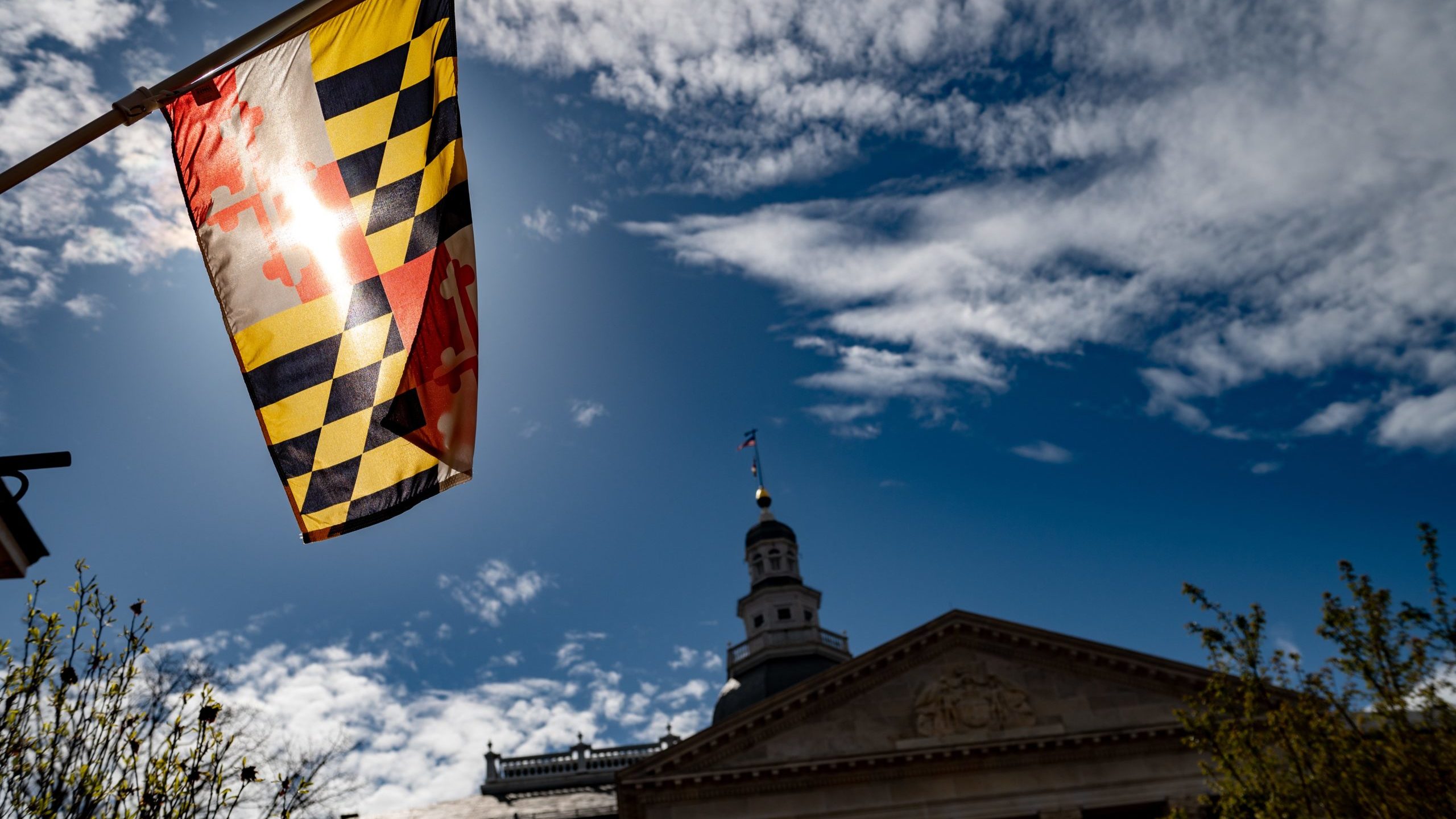 Maryland Supreme Court hears arguments on constitutionality of Child ...