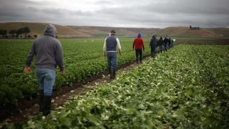 Special week puts focus on how food gets to Americans' tables – through ...