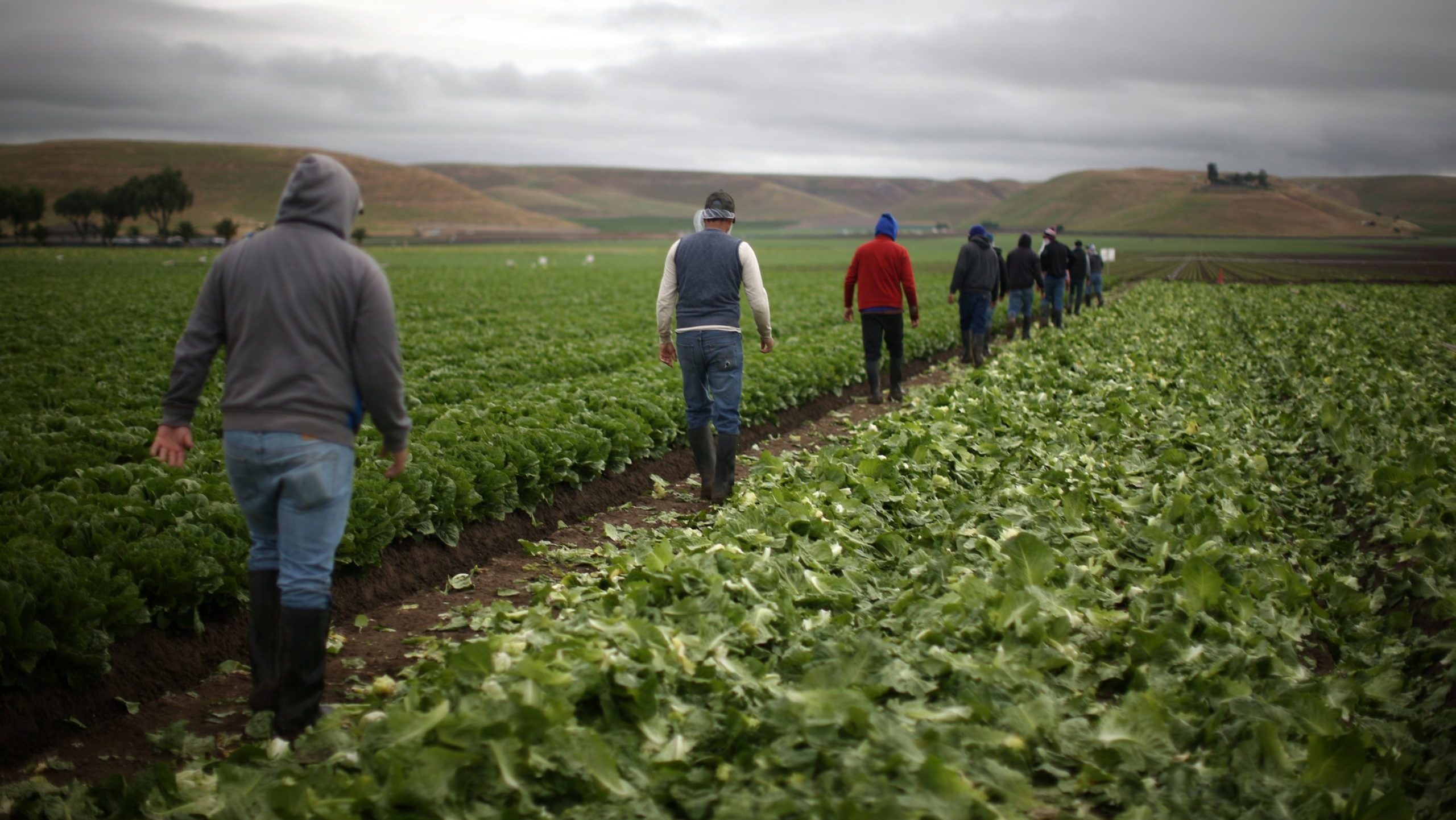 Special week puts focus on how food gets to Americans' tables – through ...