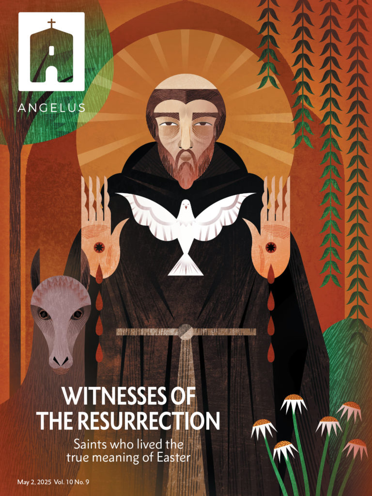 Witnesses of the Resurrection: Saints who lived the true meaning of ...