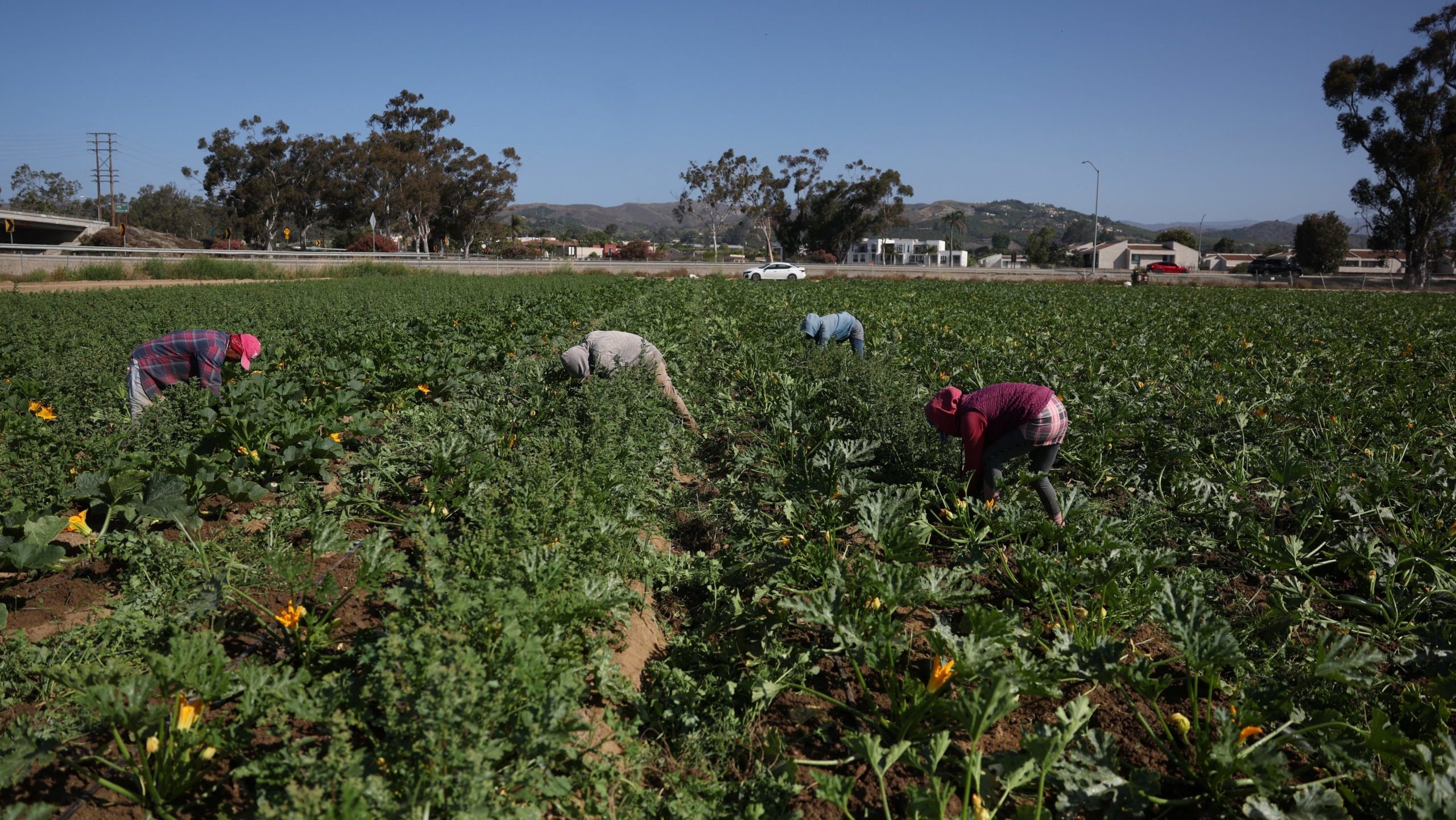 Analysis: OBBB's 'unprecedented' impact on immigrant families, workers