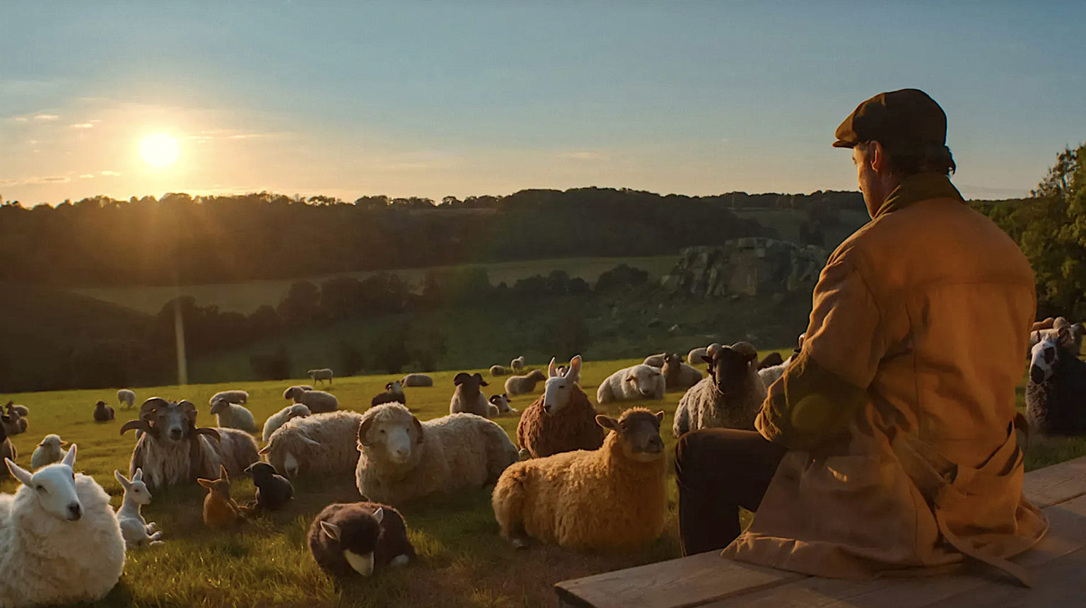‘The Sheep Detectives’ asks us: What really makes a good shepherd?