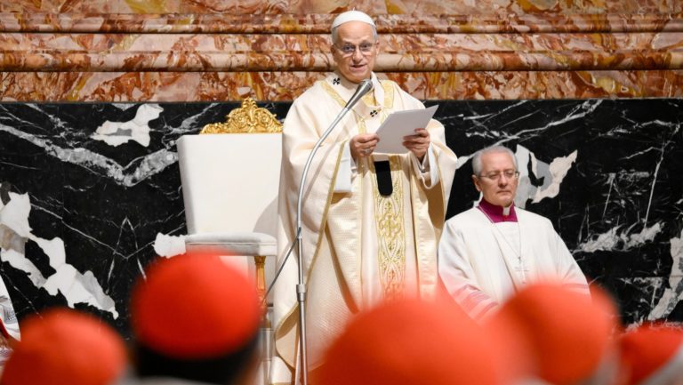 June consistory of cardinals will address synod, war, AI